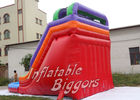 Amusement Park Inflatable Swimming Pool Water Slide CE AU With Double Stitch