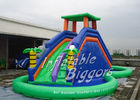 Cannon PVC Residential Inflatable Water Slides Amusement Park , Blow Up Slides