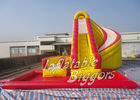 Custom Inflatable Adult Water Slide With Swimming Pool , Inflatable Combo Water Slide