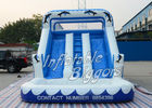 Kids Games Dolphin Inflatable Water Slide Blue / White With Brazil HR4040
