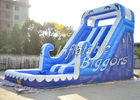 Kids Games Dolphin Inflatable Water Slide Blue / White With Brazil HR4040