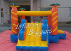 Birthday Party Commercial Inflatable Bouncers / Promotion Jumping Bounce Houses