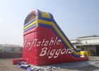 Residential Slippy Splash Kids Inflatable Slides Dual Lane , 100lbs - 800lbs