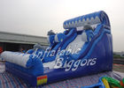 Dolphin Slip Double Kids Inflatable Slides