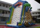 Giant Bouncer Toys Inflatable Dry Slide For Kids Birthday Party , 100lbs - 3000lbs