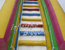 Giant Bouncer Toys Inflatable Dry Slide For Kids Birthday Party , 100lbs - 3000lbs
