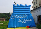 Outdoor Commercial Kids Inflatable Slides Rental Huge Shark For Festival Activity