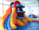 Kids PVC Inflatable Water Slide Dual Water
