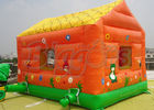 Crazy Fun Jumping Castle Inflatable Bouncers Castle For Angry Birds