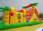Commercial Inflatable Bouncer With Slide PVC Colourful Inflatable Jumping Castle