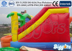Inflatable Combo Bouncer For Cartoon Theme With Slide And Pool Amusement Park