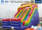 Popular Inflatable Kids Inflatable For Water Park Commercial Inflatable slides