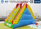 Double Lanes Inflatable Water Slides Game With Removable Swimming Pool