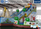 Fun Commercial Kids Inflatable Water Slides , PVC Tarpaulin Crazy Bird Bouncy Castle