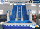 Dolphin Inflatable Water Double Lanes Slip Durable with Swiming Pool
