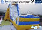 Exciting  Kids Inflatable Water Slide Large Climbing Games Amusement Park