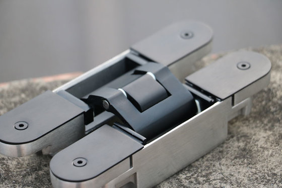 SUS 304 Stainless Steel Concealed Hinge Black
