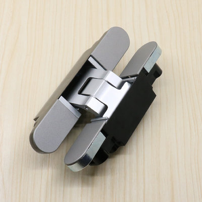 middle duty invisible hinge in interior or exterior doors China 180 degree hinges manufacturer
