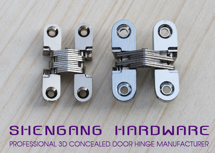Door Hardware Invisible Stainless Steel Hinges With Satin Chrome Finish