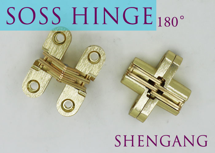 SOSS Mortise Mount Invisible Concealed Door Hinges With 4 Holes 2-3/4" Leaf Height 5/8" Leaf Width 23/32"