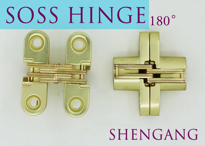 Satin Brass Soss Stainless Steel Concealed Hinges , Wings measure 3/8" Wide x 1-11/16" Long for 1/2" , SOSS #101