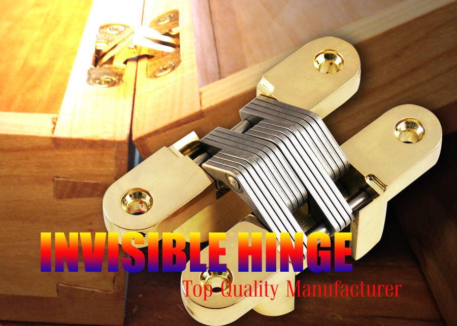 SOOS Hinges Cabinet Soss Concealed Door Hinges , Hidden Hinges 180 Degree