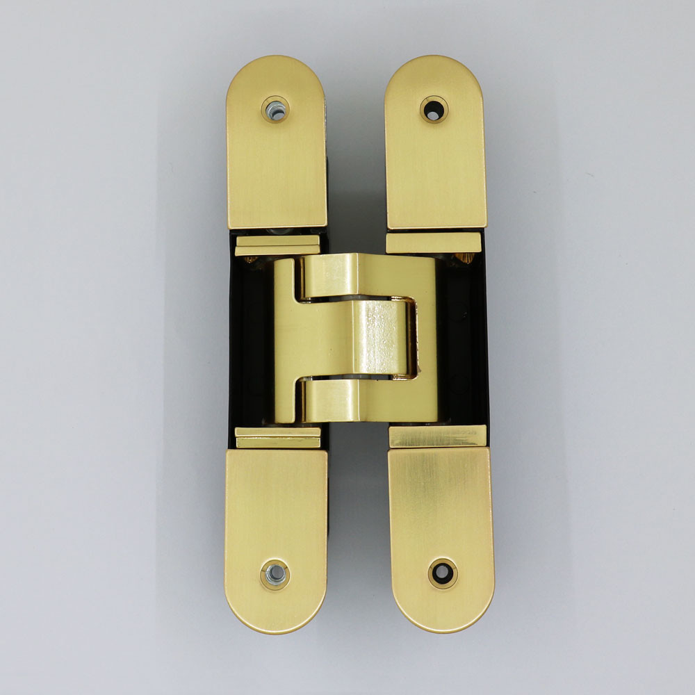 Brass Gold Concealed Hinge