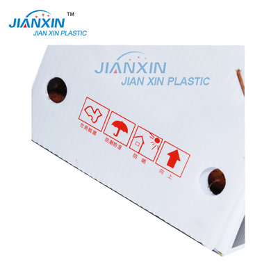 Customized Plastic Corflute Box/ Plastic Corrugated Fruit Box/ PP Hollow Fruit Box