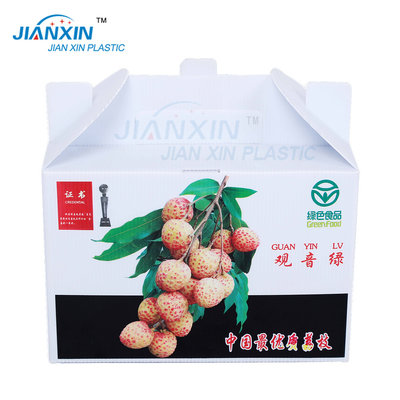 Customized Plastic Corflute Box/ Plastic Corrugated Fruit Box/ PP Hollow Fruit Box