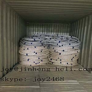 steel fishing net wire mesh、domed wire fish traps/gargoor