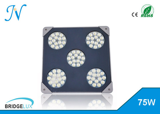 Reflector llevado blanco llevado coloreado al aire libre decorativo de alto rendimiento 75W de las luces de inundación