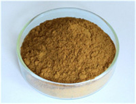 Ginkgo Biloba Extract，Ginkgo Biloba Extract Supplier，Ginkgo Biloba Extract Powder，yellow-brown Ginkgo Biloba Extract