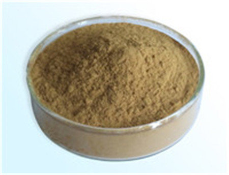 SEA BUCKTHORN EXTRACT，Sea Buckthorn Extract Manufacturer，Sea Buckthorn Extract Supplier，raw materials Sea Buckthorn Powd