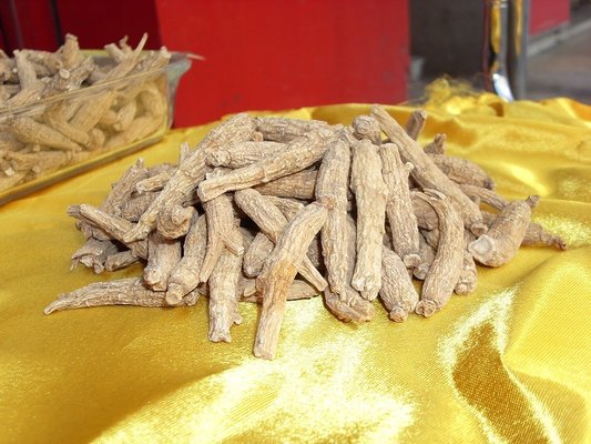 American Ginseng P.E Supplier