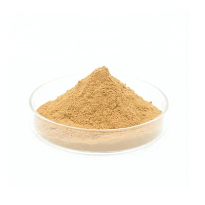 Organic Raw Material Ginkgo Biloba Extract 24 Flavonoids 6 Lactones