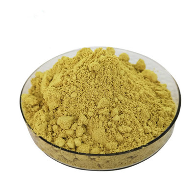 Best Price Natural Ginkgo Biloba Extract 24 Flavonoids Extract