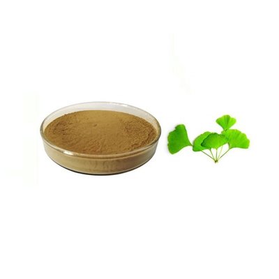 Organic Ginkgo Biloba Leaf Powder 24/6/5 Ginkgo Biloba Extract Supplier