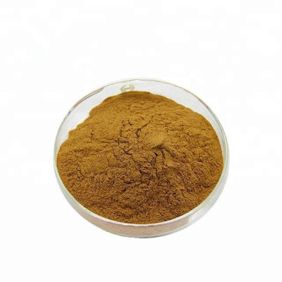 Organic Ginkgo Biloba Leaf Powder 24/6/5 Ginkgo Biloba Extract Supplier