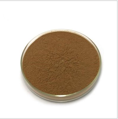 100% Natural Ginkgo Biloba Extract USP Grade Ginkgo Biloba Powder