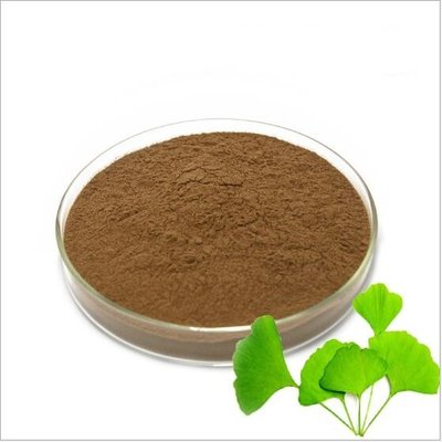 Factory Supply Ginkgo Biloba Extract CP Ginkgo Biloba Extract Powder