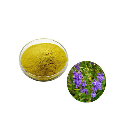 High Quality Scutellaria Baicalensis Extract 80%-90% Baicalin Powder