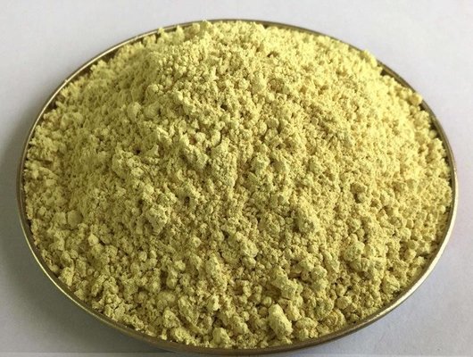 Factory Direct Sale Scutellaria Baicalensis Root Extract 80% Baicalin