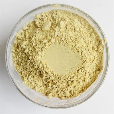 Factory Direct Sale Scutellaria Baicalensis Root Extract 80% Baicalin