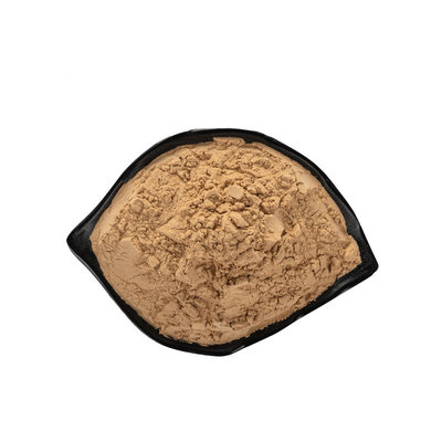 100% Natural Scutellaria Baicalensis Extract Baicalin 90% Powder