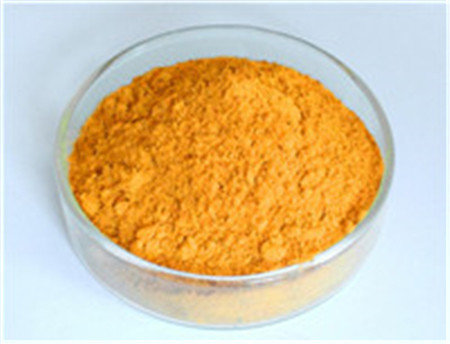 Curcumin，food production Curcumin powder Factory，food production Curcumin powder Supplier，Curcumin Powder For intestinal