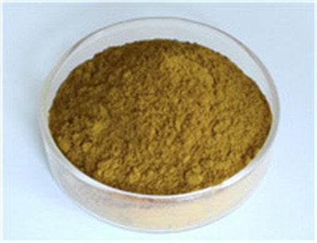 Cistanche Tubulosa Extract,Cistanche Tubulosa Extract Supplier,Cistanche Tubulosa Extract Factory,Cistanche Tubulosa Pow