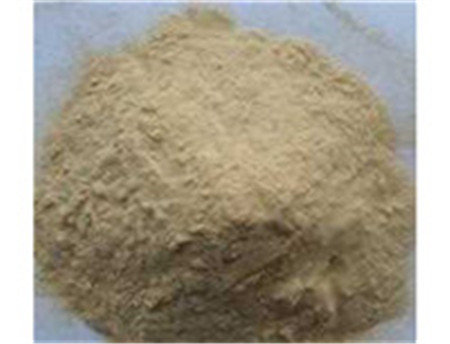 Sophora Root Extract，Sophora Root Extract Factory，Sophora Root Extract Supplier，Sophora Root Powder