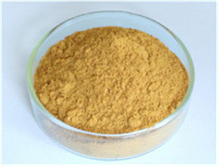 American Ginseng P.E,American Ginseng P.E Manufacturer