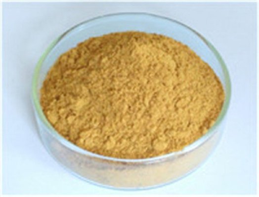 American Ginseng P.E Manufacturer