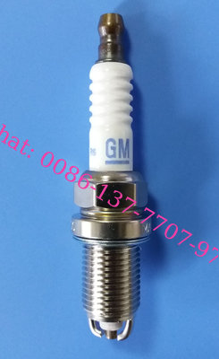 China Auto spark plug GM 1214117 spark plug made in Korea exporter